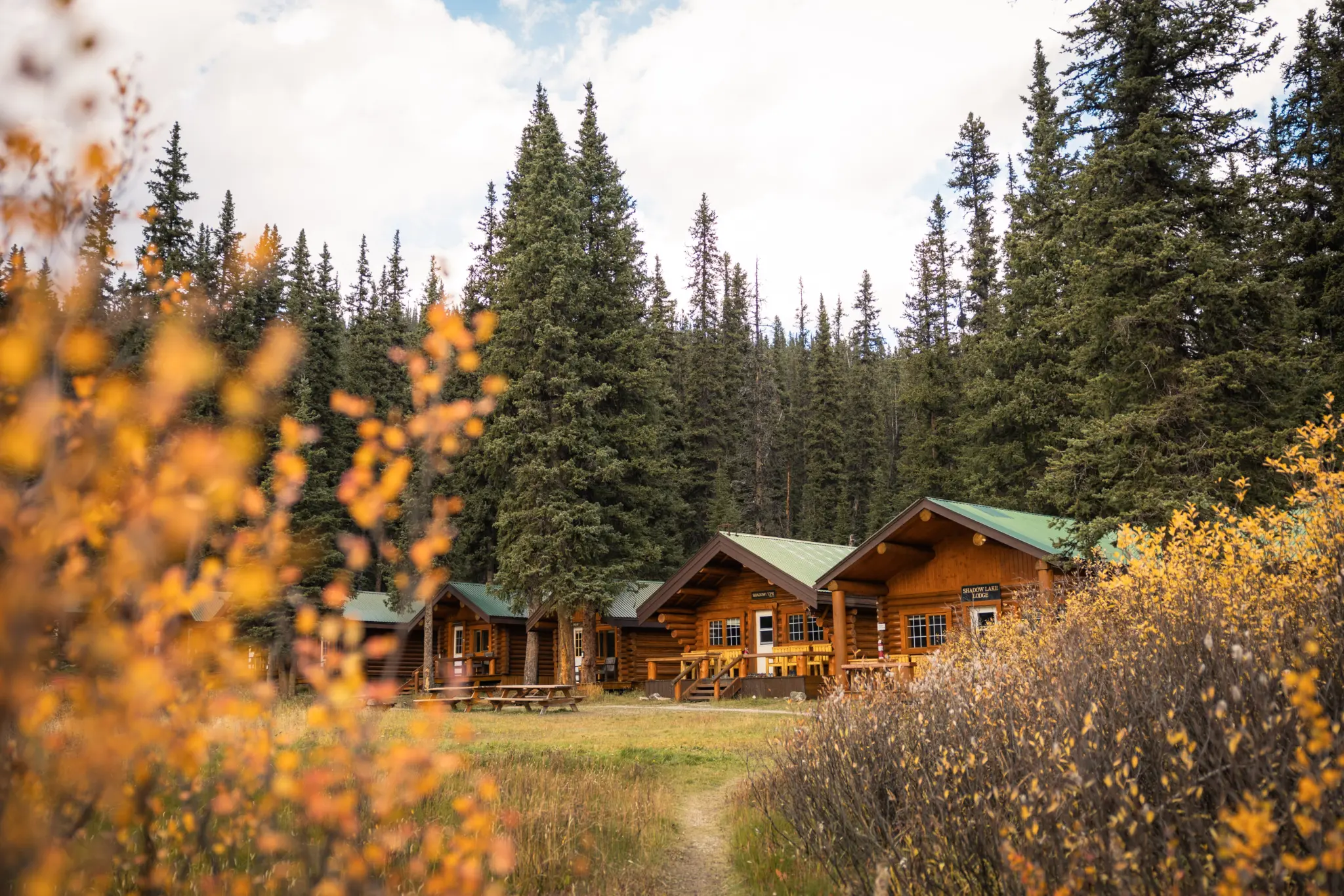 Banff in September: A Local's Guide to Visiting in 2025