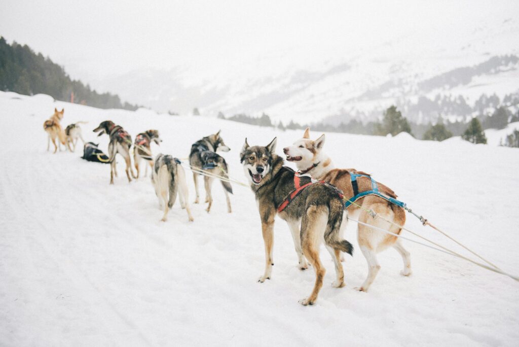 Banff in February 2027: Best Activities & What to Expect