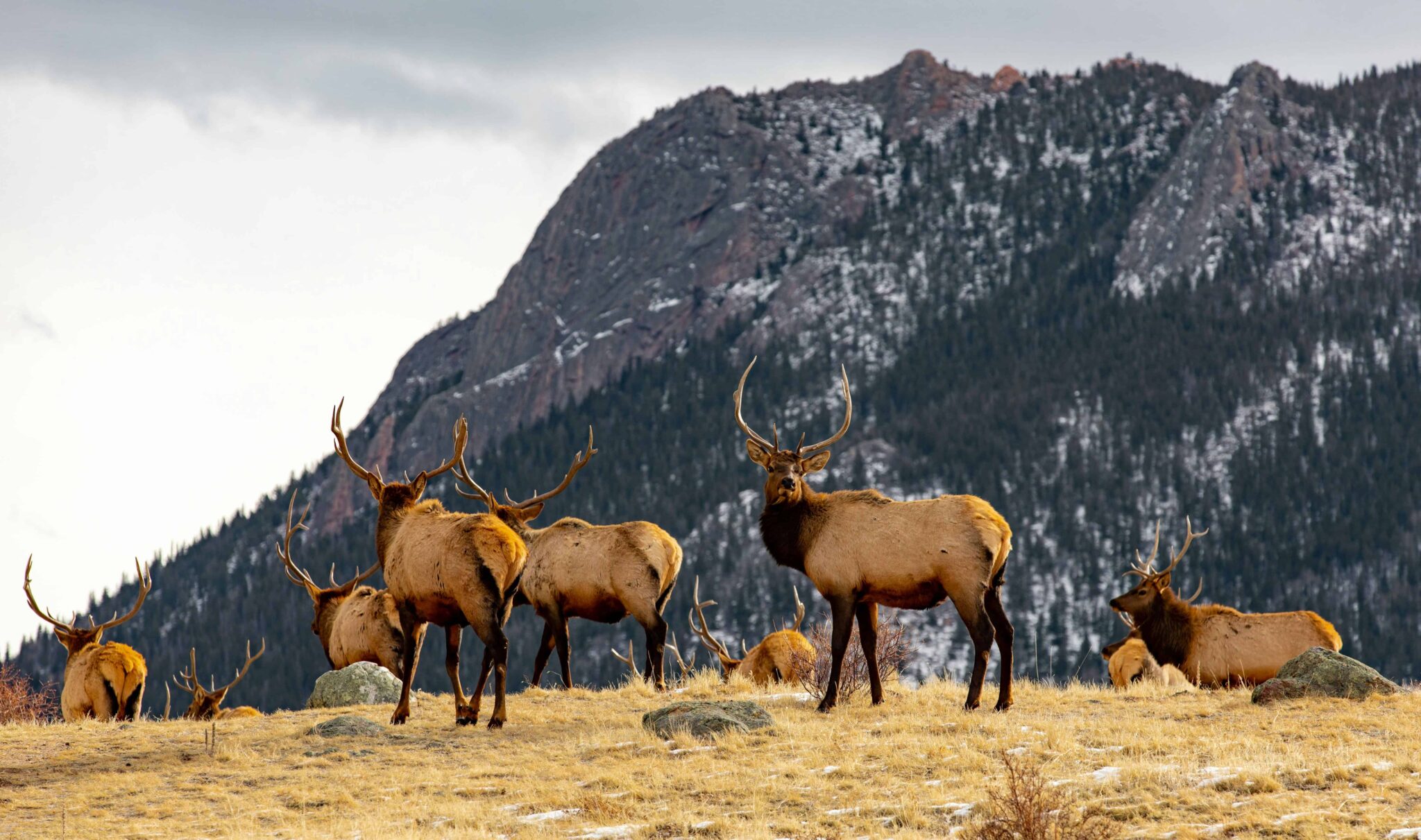 Banff in October: A Local’s Guide to Visiting in 2026