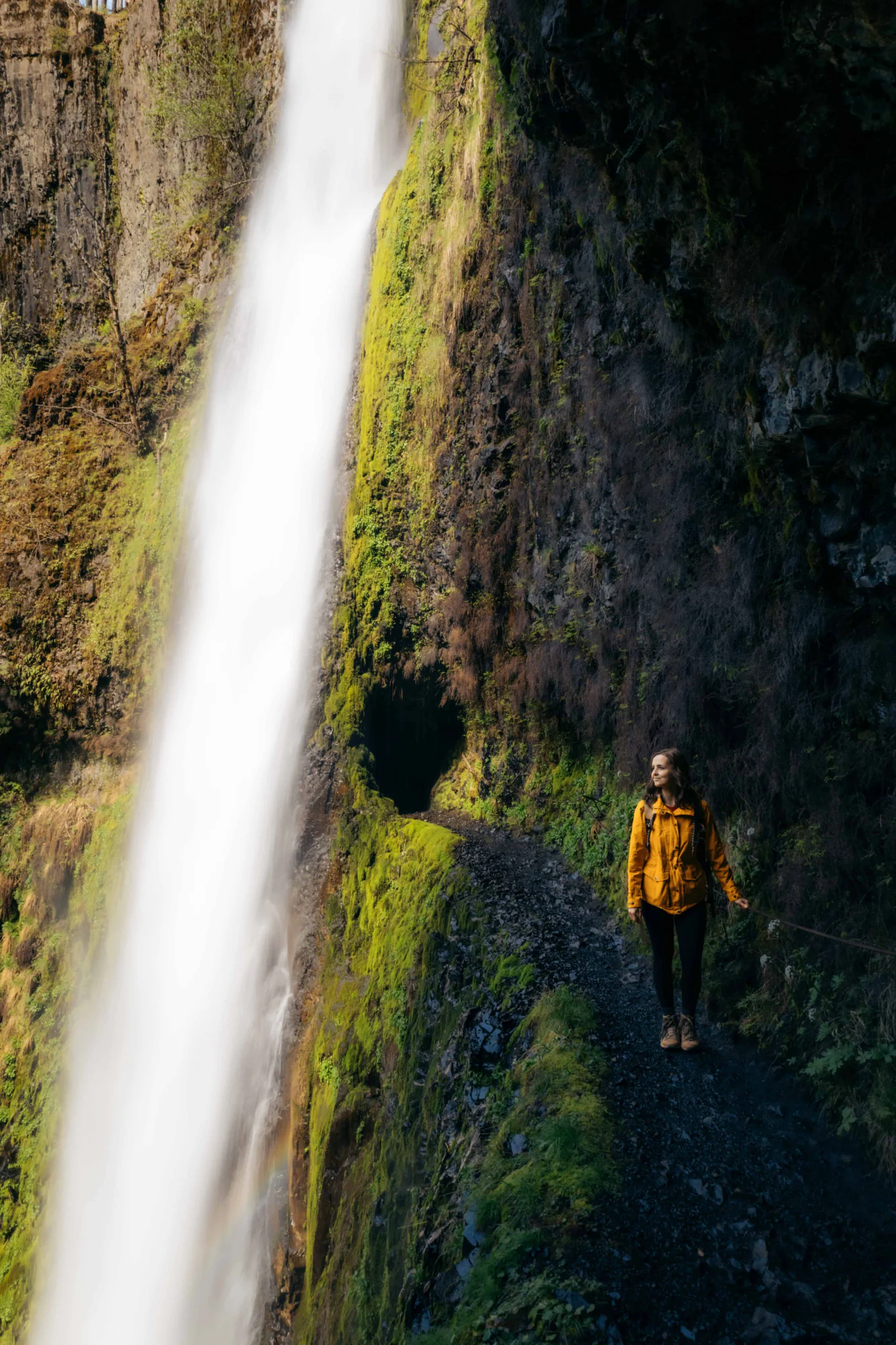 6 Must-See Columbia River Gorge Waterfalls (2026 Guide)